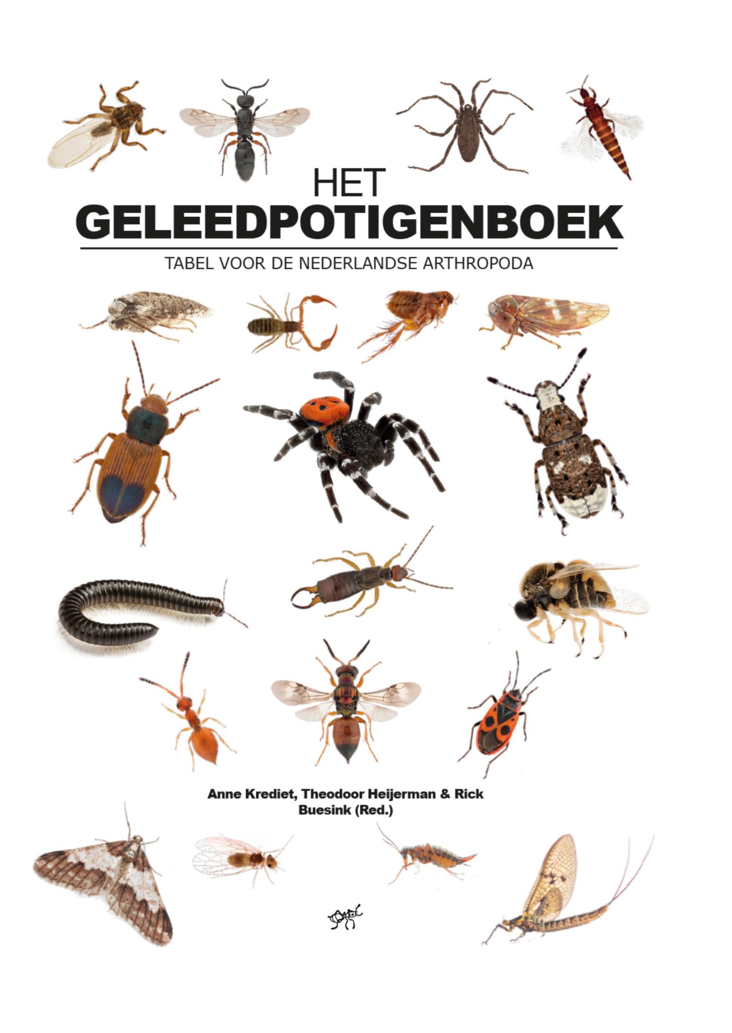 Insecten – Stichting Jeugdbondsuitgeverij